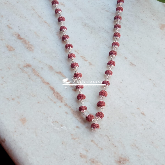 Buy Original Rudraksha Jap Mala Online